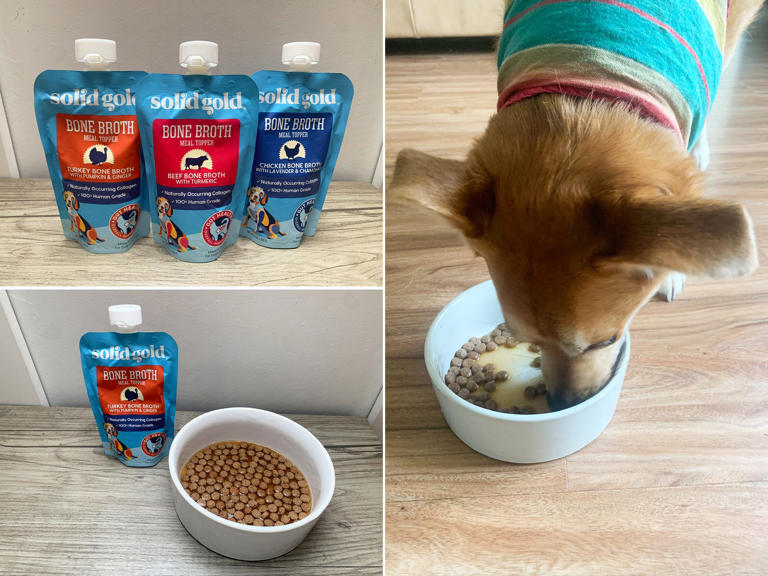 The best dog food toppers for picky eaters
