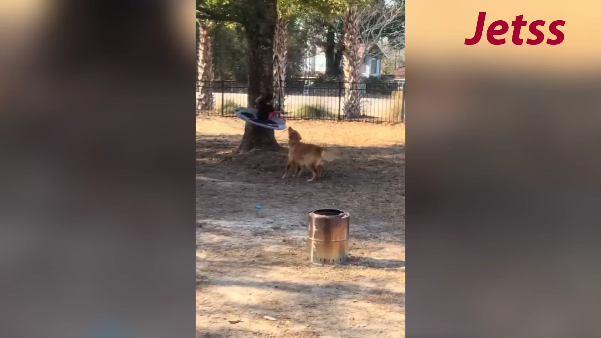 Menina brinca com seu cachorro e vídeo emociona: "Melhores memórias da ...