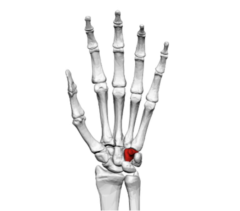 Hamate bone injuries explained: Fantasy impact for Francisco Lindor ...