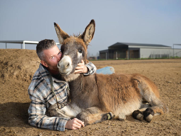 How one viral TikTok turned a media exec into the real-life "Donkey King"