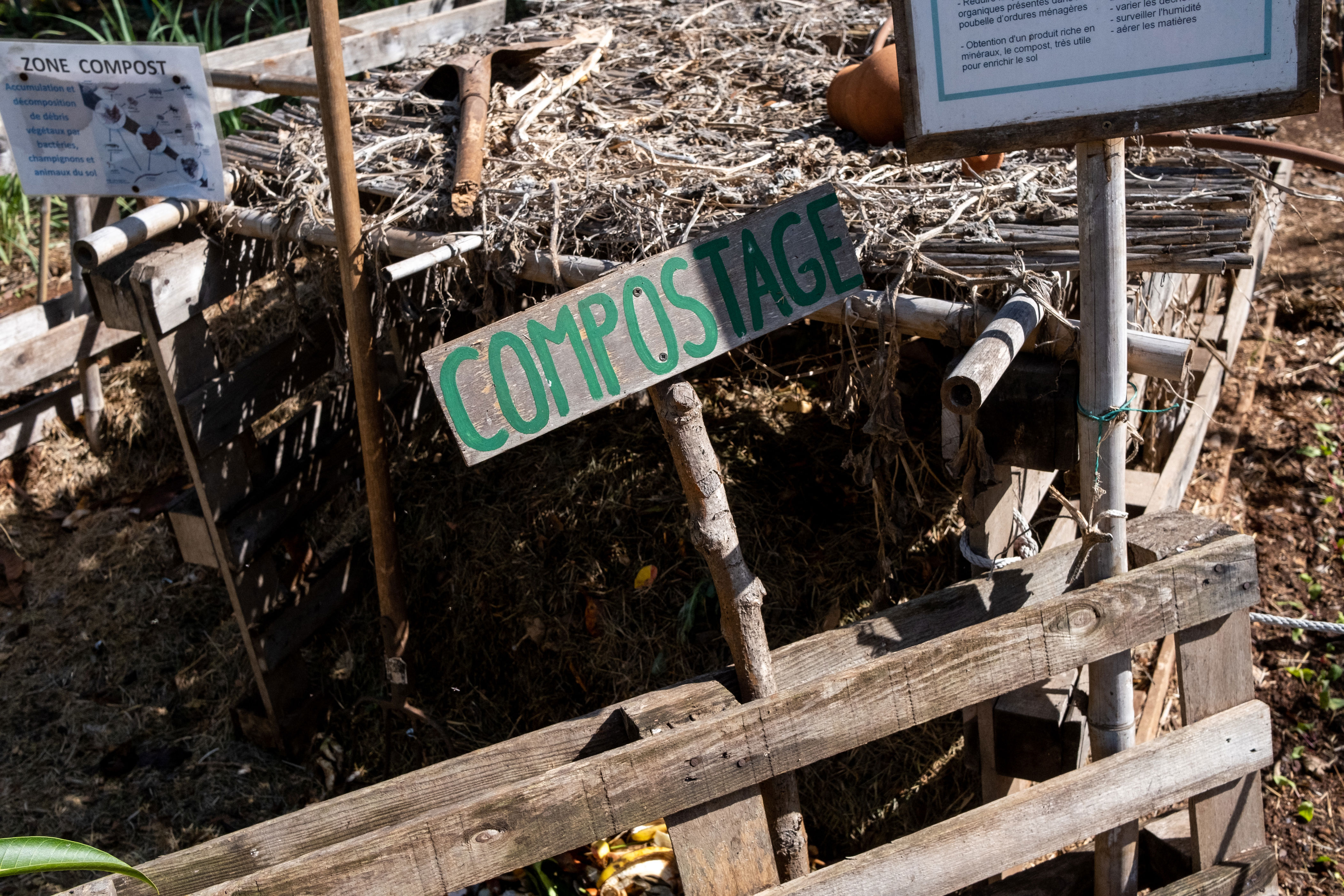 How to start composting your food waste at home