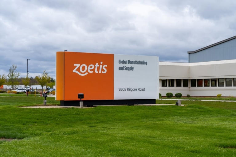 Analysts question Zoetis' pathway to growth as key segments slide