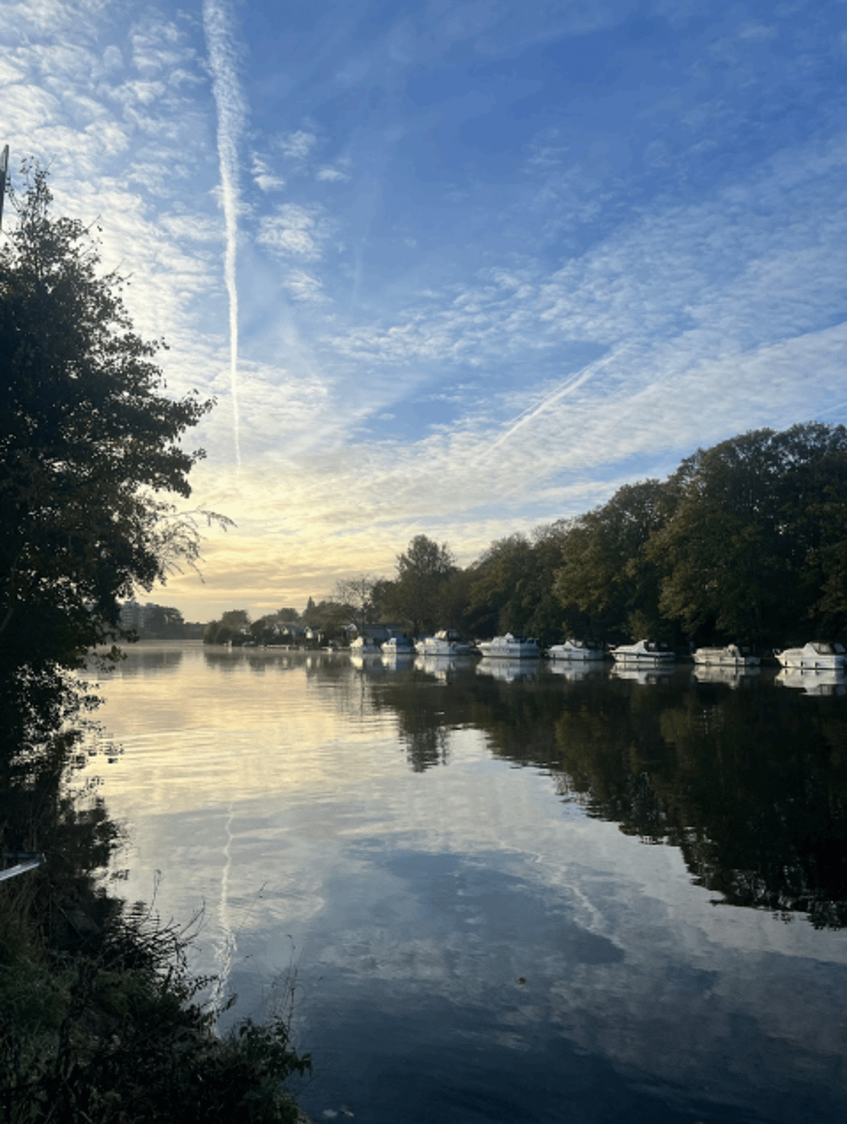 London's first designated bathing area in Thames opens at idyllic spot