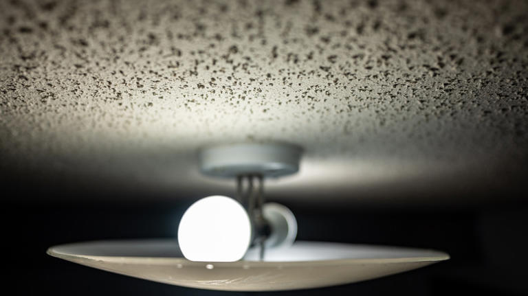 'No Demo Reno' star Jenn Todryk's trick makes popcorn ceiling removal a ...
