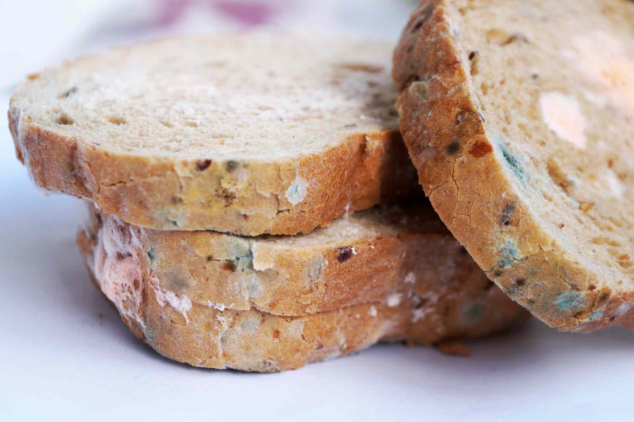 Can you eat moldy bread? Experts share if it’s safe