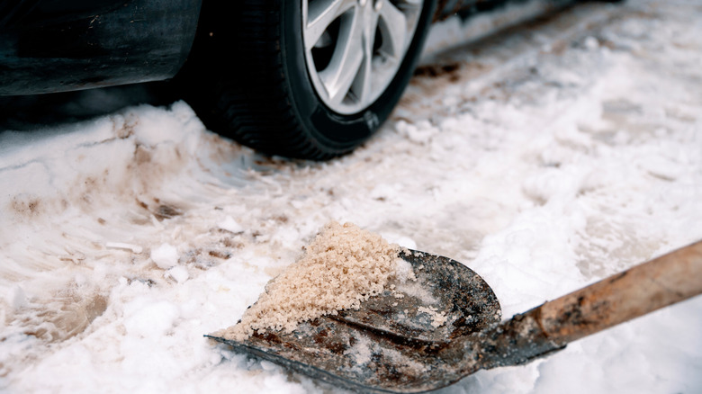 4 of the best road salt alternatives to melt ice