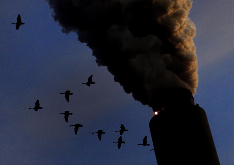 Trump repeals US government’s power to regulate climate