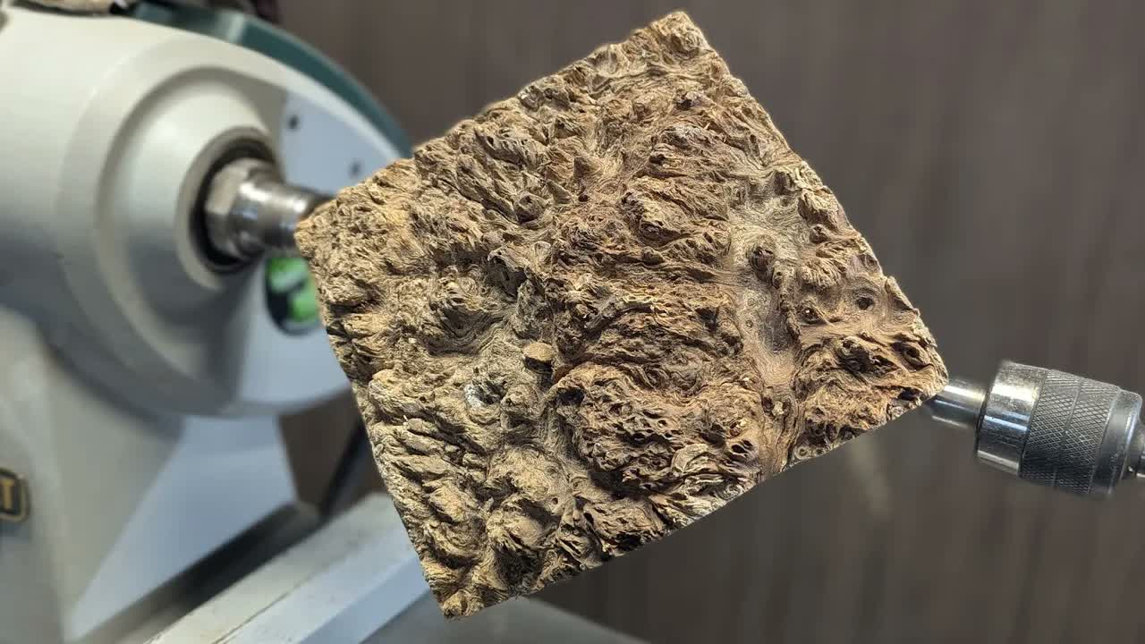You won't believe what was inside – I turned this wild burl