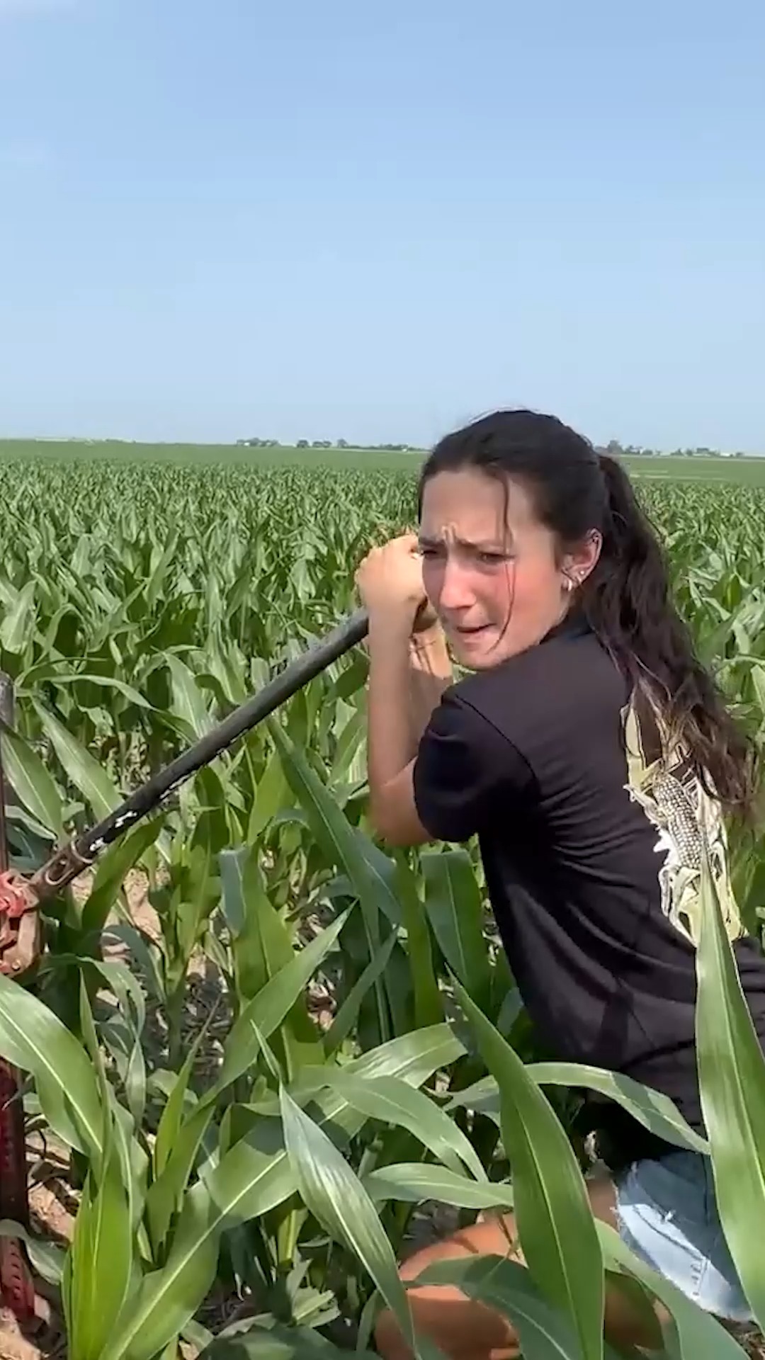 Pivot irrigator vs. drip irrigation