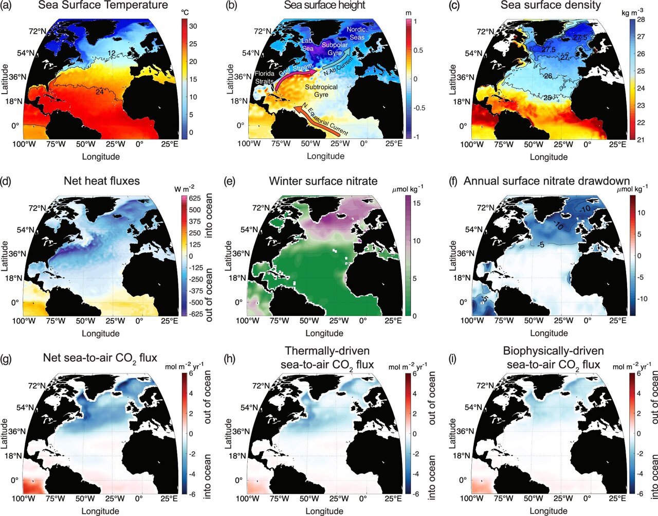 Exploring how the Gulf Stream affects the climate system and the carbon ...