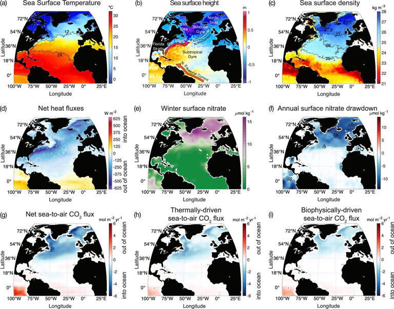Exploring how the Gulf Stream affects the climate system and the carbon ...