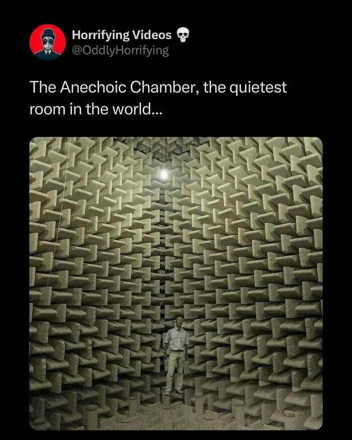 Oddly horrifying: 28 of the most unnerving images that might freak you out