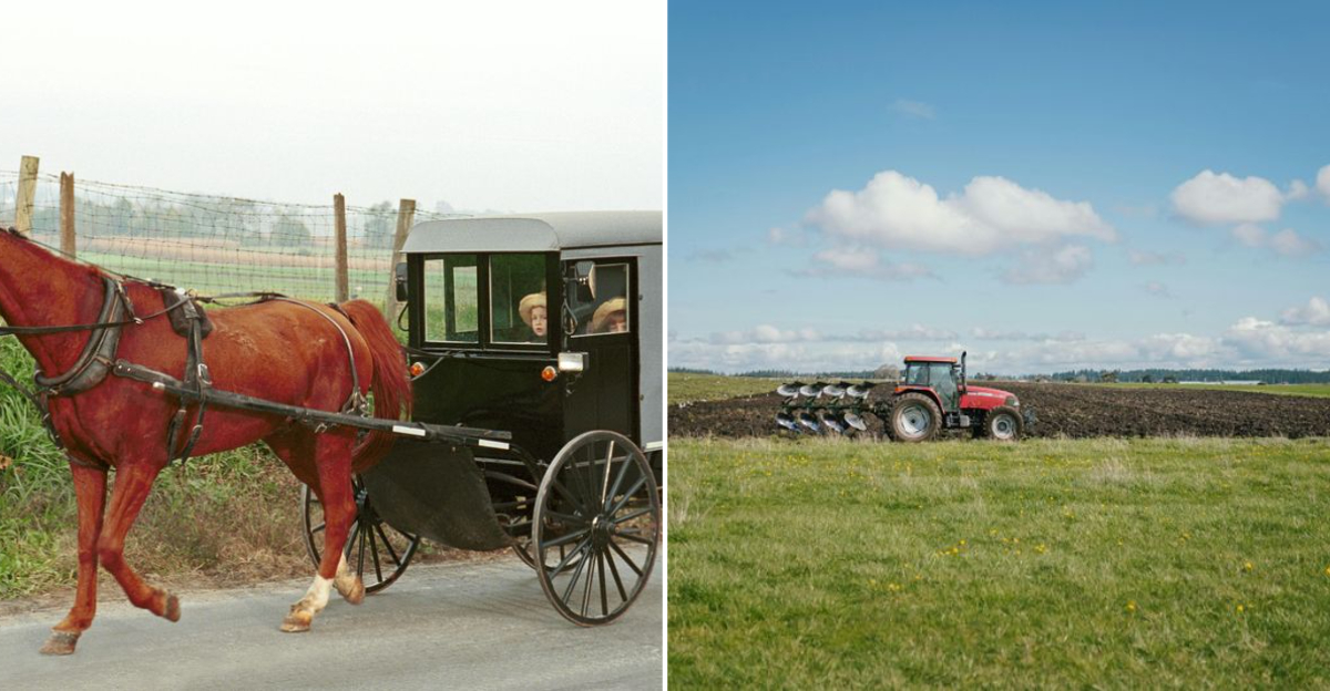 Lessons from Pennsylvania Amish villages tourists ignore