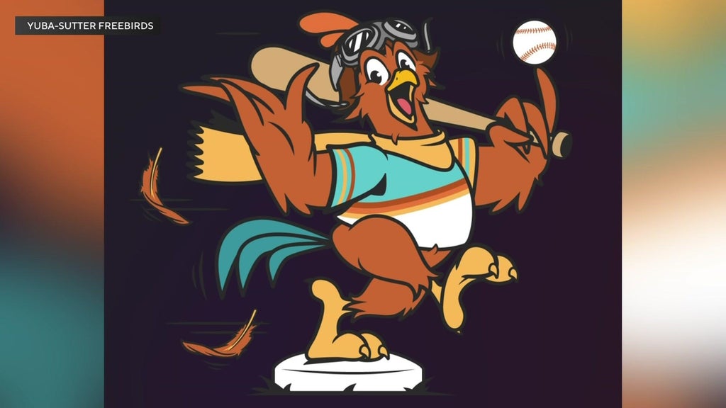Yuba-Sutter High Wheelers baseball team rebrands as the Freebirds