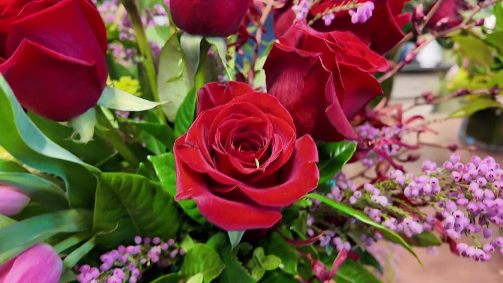 Online florists with apparent New Jersey ties get complaints by the ...