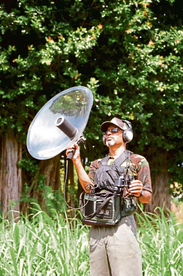 Love songs, war cries and lies: Understanding the language of birdsong