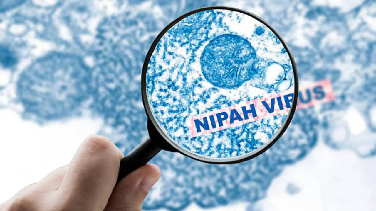 Nurse succumbs to Nipah virus infection: Deadly symptoms and human ...