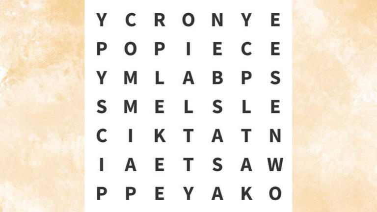Word search puzzle: Find the word "STEM" in the letter grid!