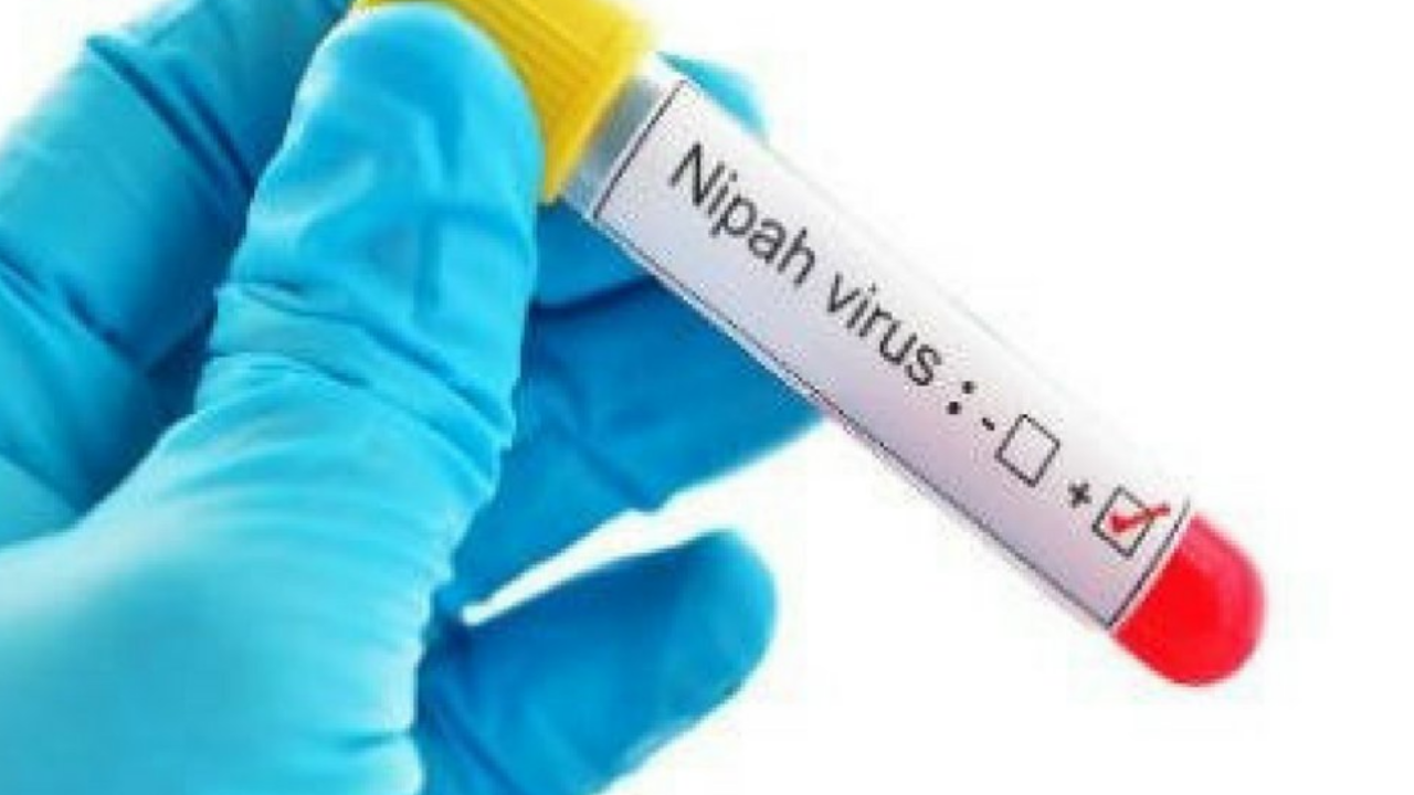 Nurse who contracted Nipah virus dies of secondary infections; 200 ...