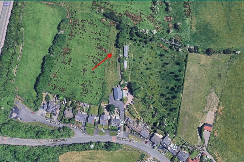 Couple unveil plans for dog exercise field at Tockholes