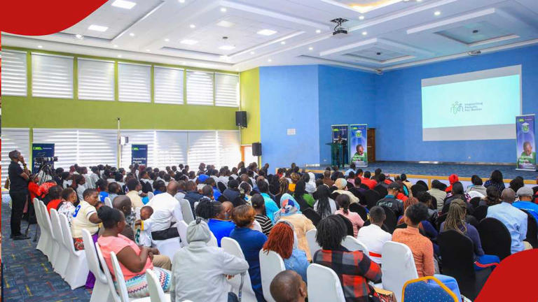 Kenya Commercial Bank announces managerial jobs for professionals, how ...