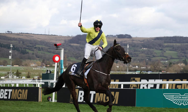 Barry Connell on Marine Nationale's chances at the Cheltenham Festival