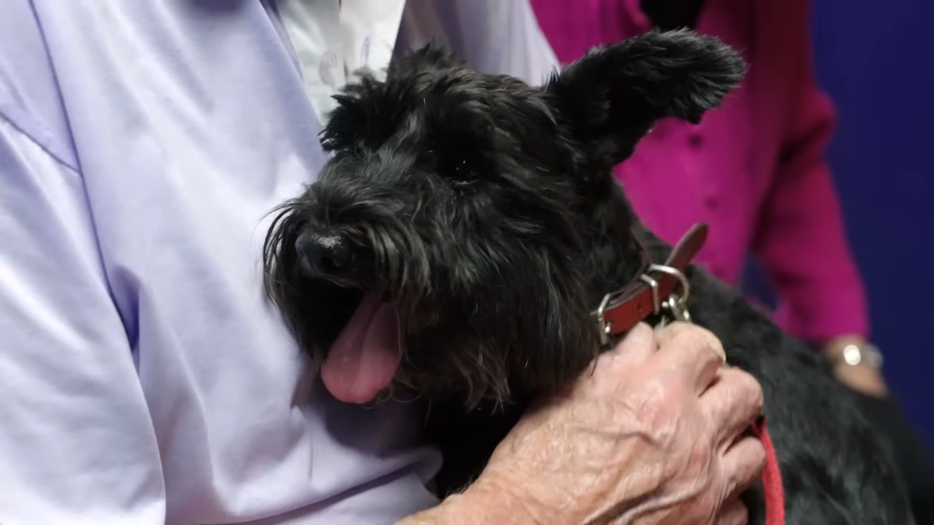 Watch what happens when a minor infection turns into a major emergency