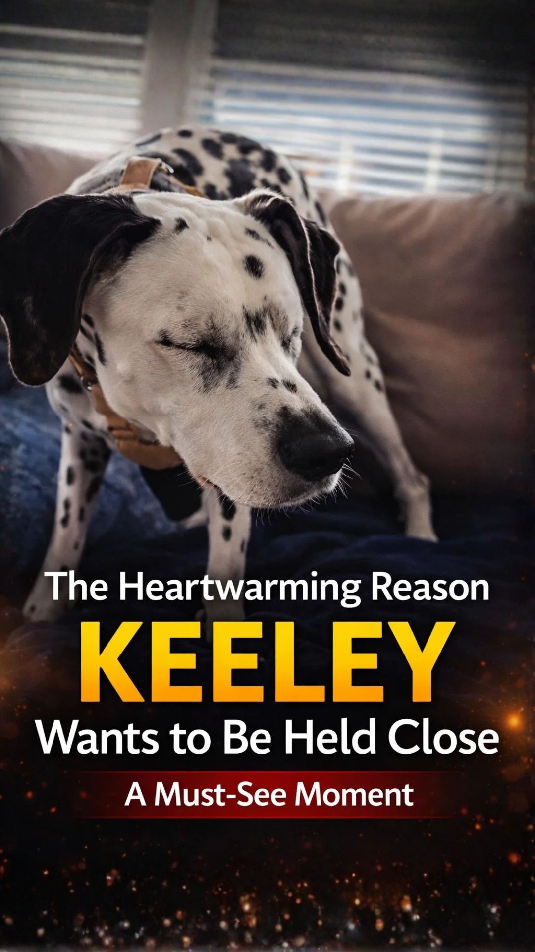 The heartwarming reason Keeley wants to be held close: a must-see moment