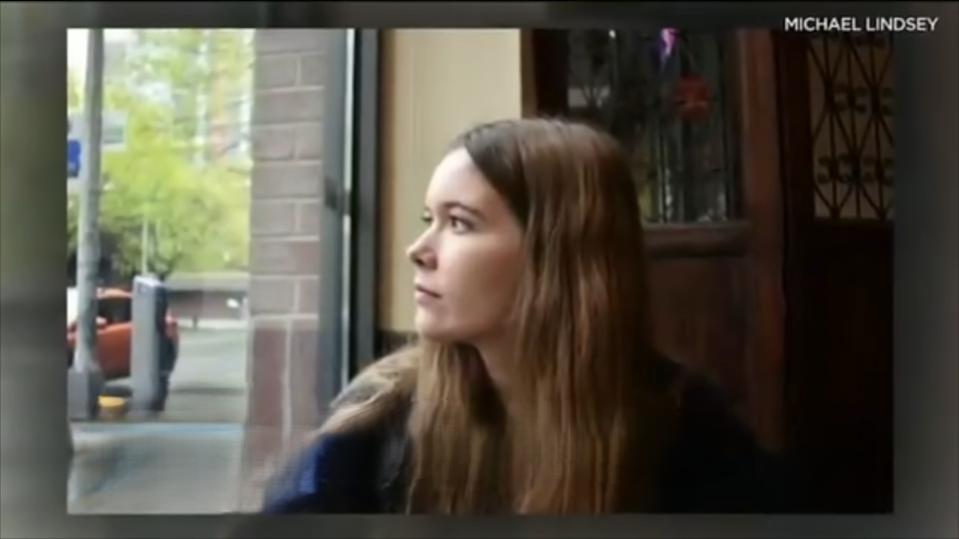 Are sharks being attracted to swimming pigs