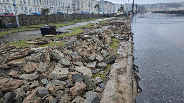 Sea wall extension plea after gardens damaged