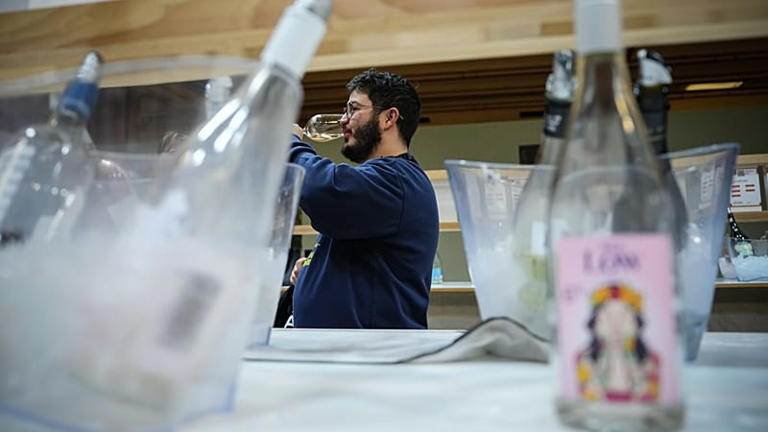 Bottoms up: No-alcohol wines take pride of place at Paris international ...