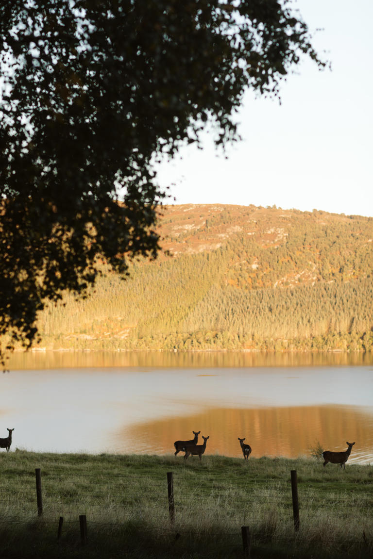 For special events and fine dining at the Lovat in Fort Augustus: Book ...