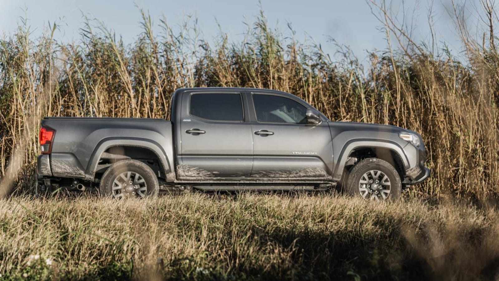 Nancy Guthrie case update: New details on grey truck and other vehicles ...