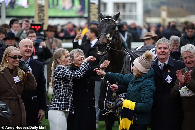 Barry Connell on Marine Nationale's chances at the Cheltenham Festival
