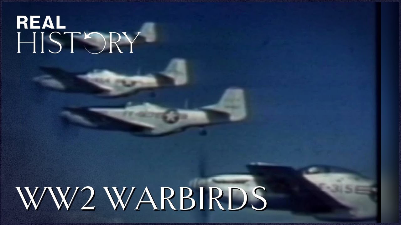 Spitfire & P-51 Mustang: The warbirds legends of the skies