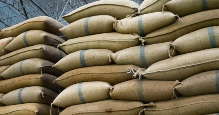 Kenyan farmers stare at losses as maize imports flood market, prices ...