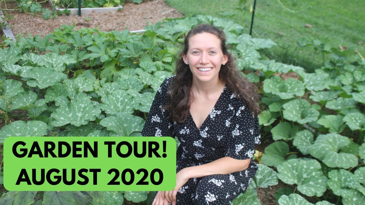 Tour a thriving August garden full of peppers and tomatoes
