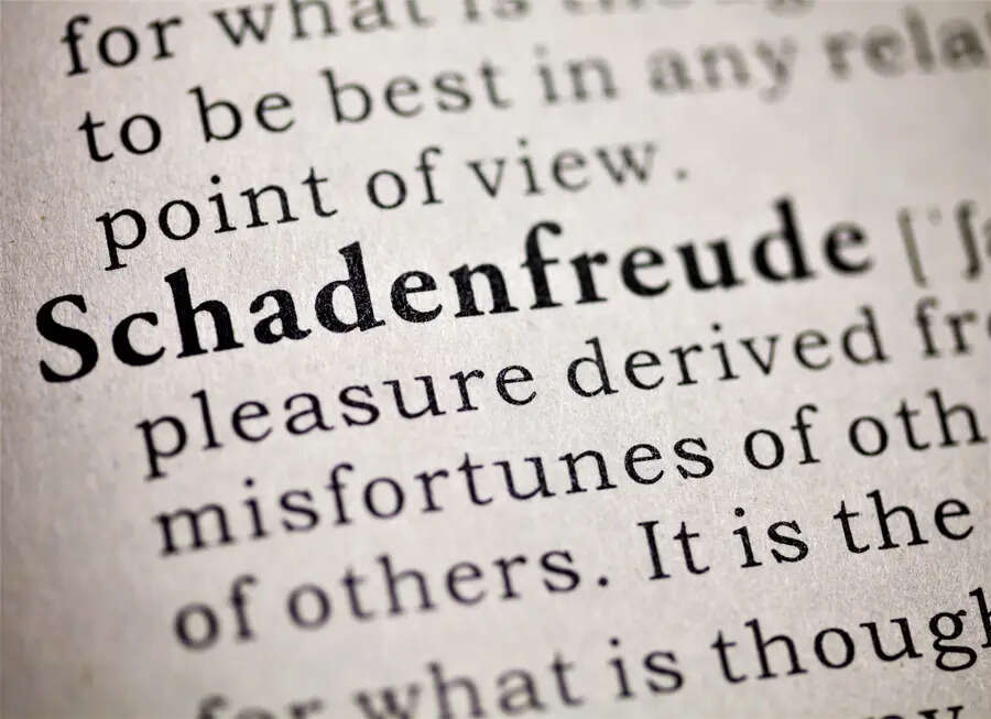 Word of the day – schadenfreude: Meaning, examples, and psychological ...