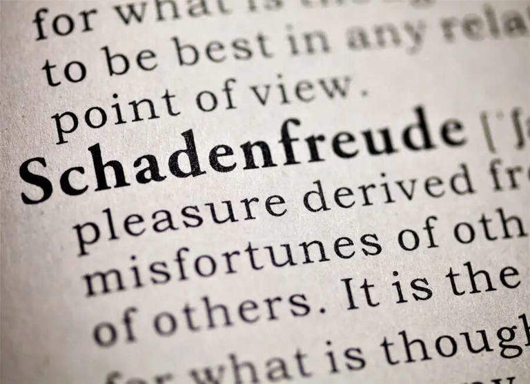 Word of the day – schadenfreude: Meaning, examples, and psychological ...