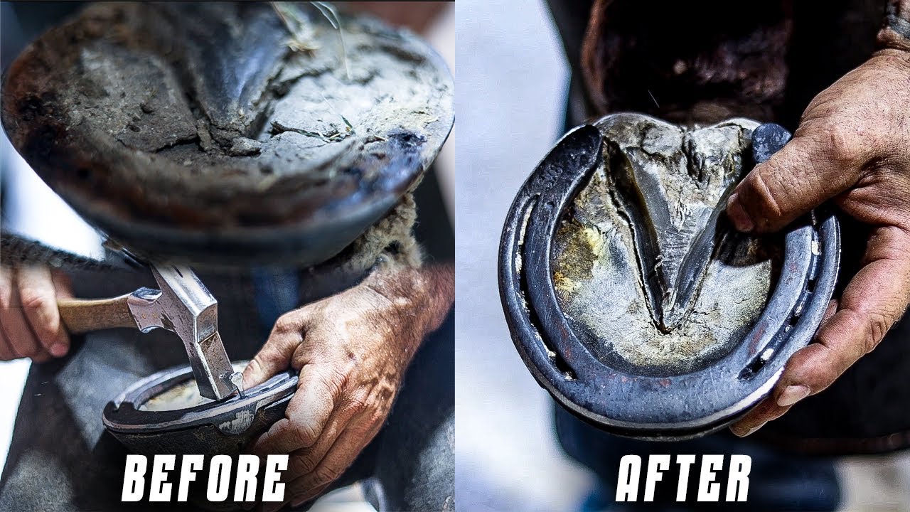 Transforming hooves: Satisfying horse hoof restoration ASMR