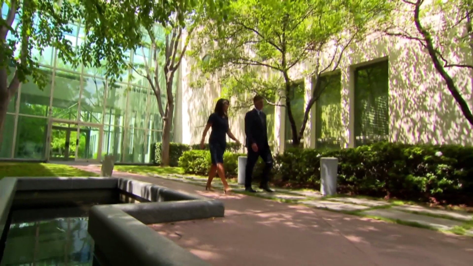 Angus Taylor elected Liberal leader with Jane Hume as deputy