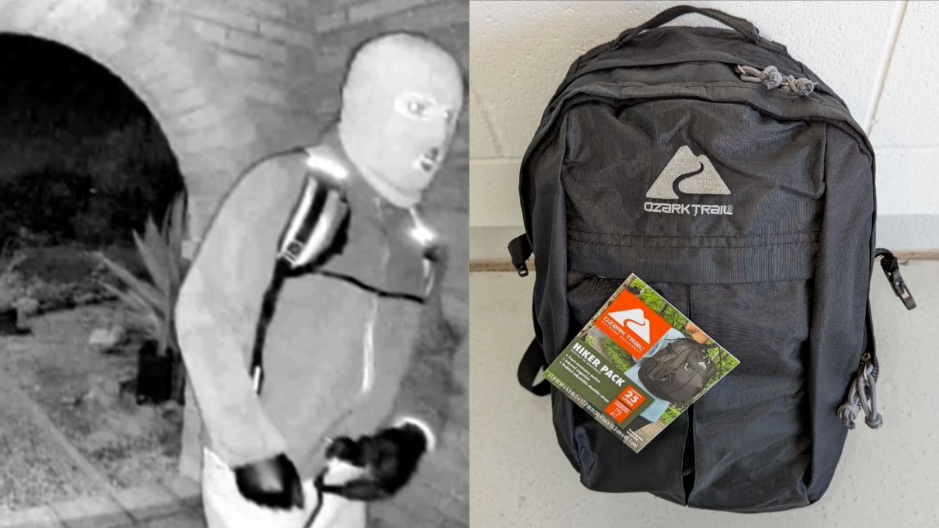 FBI releases description of suspect and his backpack in Nancy Guthrie ...