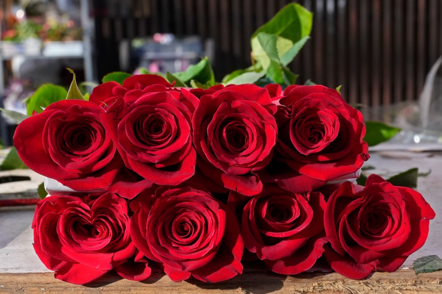 Valentine’s Day budgets hit by rising tariffs, costs