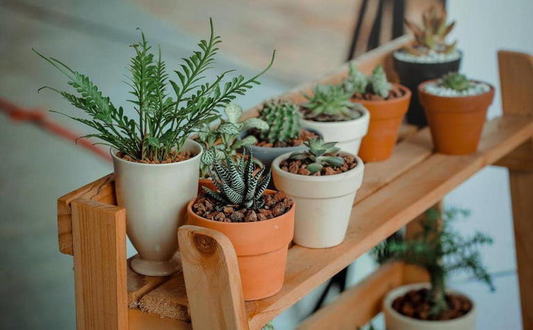 7 tips cerdas mempercantik taman depan rumah dengan biaya murah