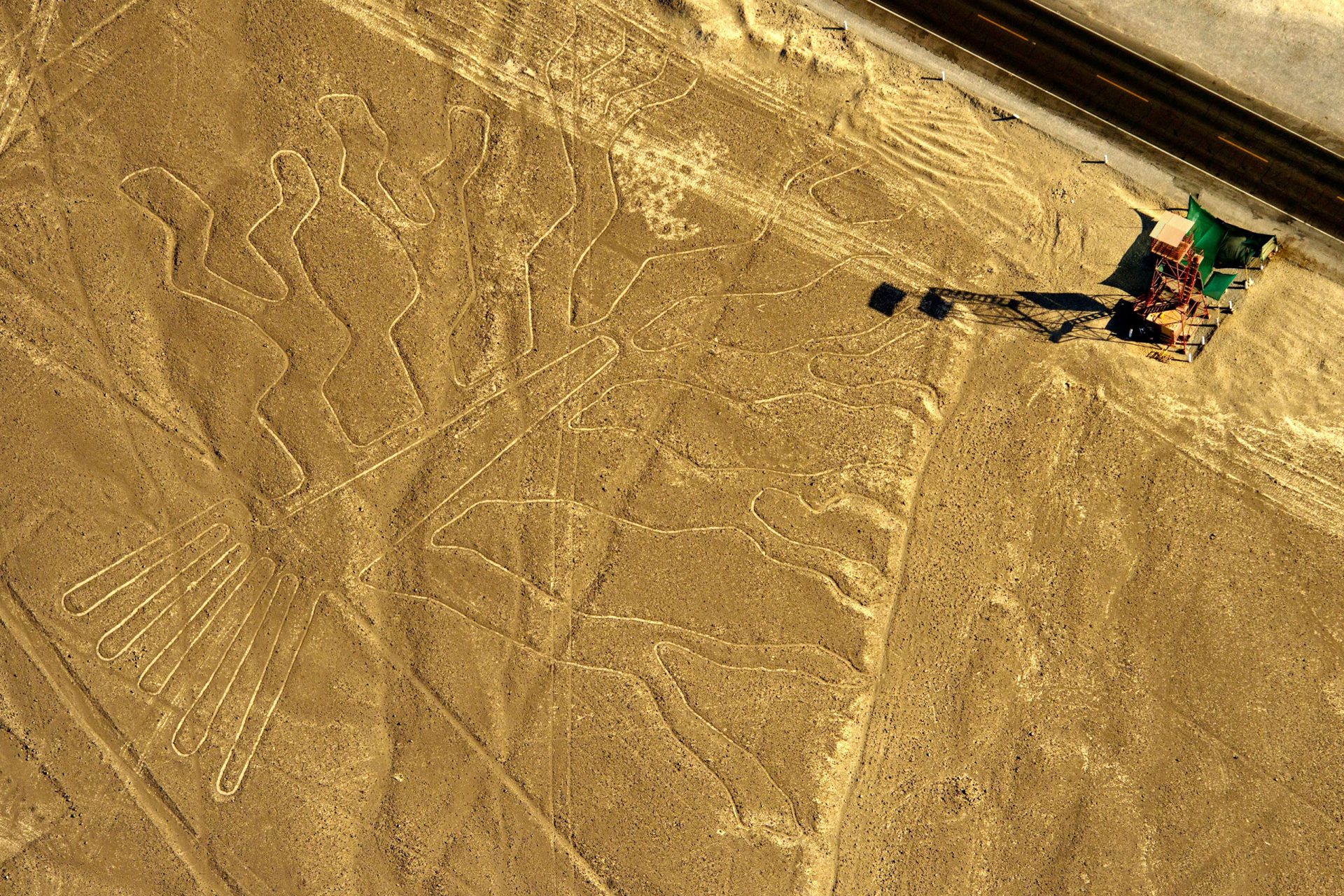 The story behind Peru's alien mummy hoax