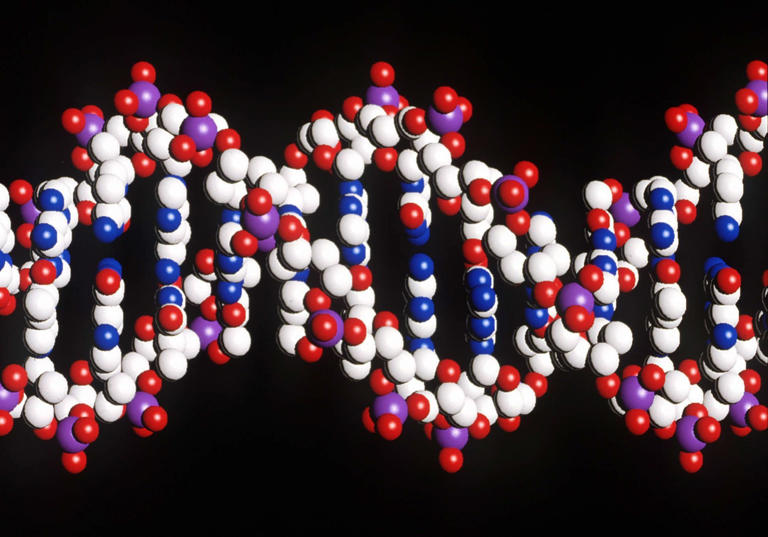Si cercano nel DNA i geni universali che hanno dato origine ai viventi