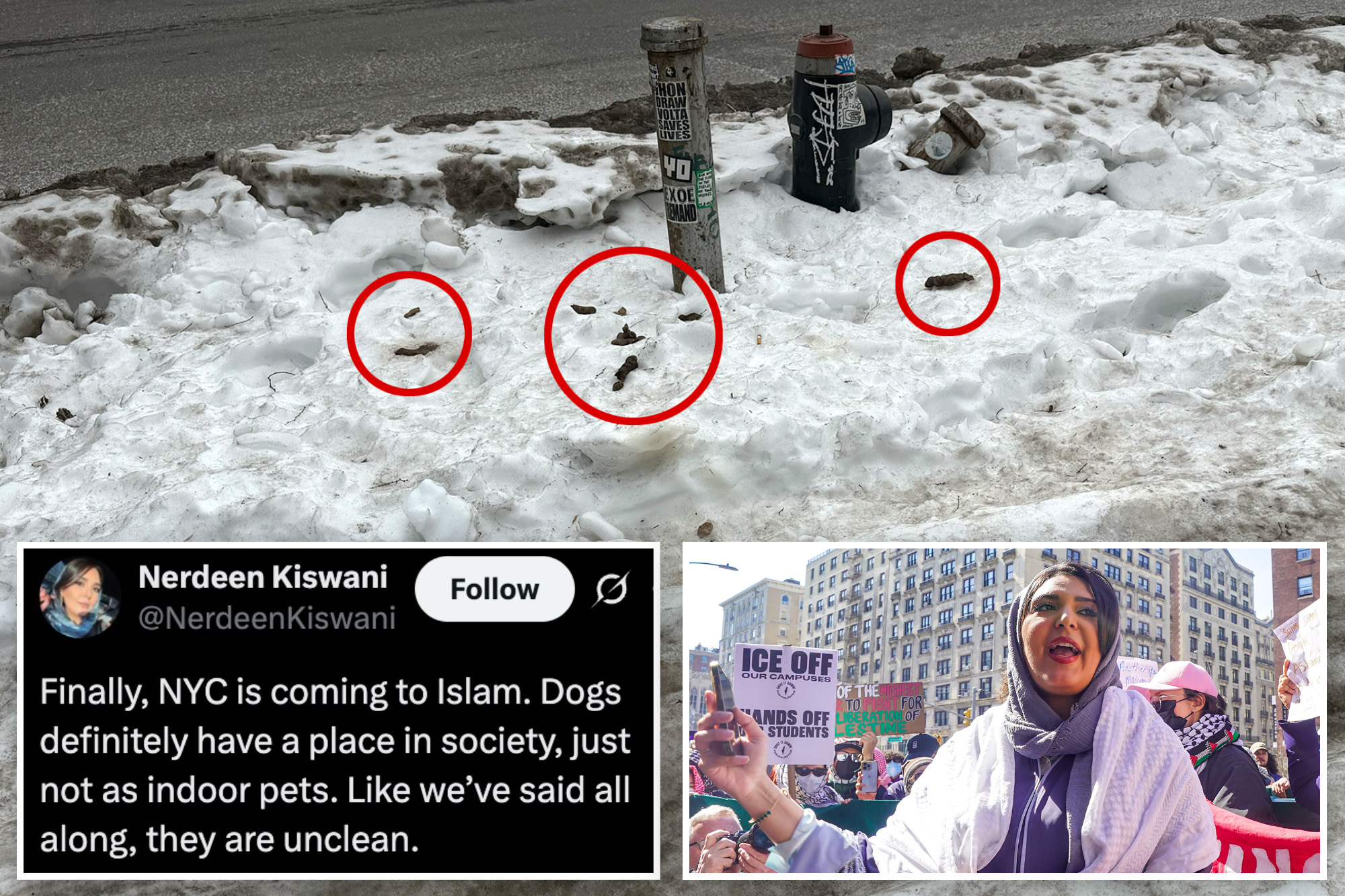 Anti-Israel activist quips dog poop apocalypse proves why NYC should ...