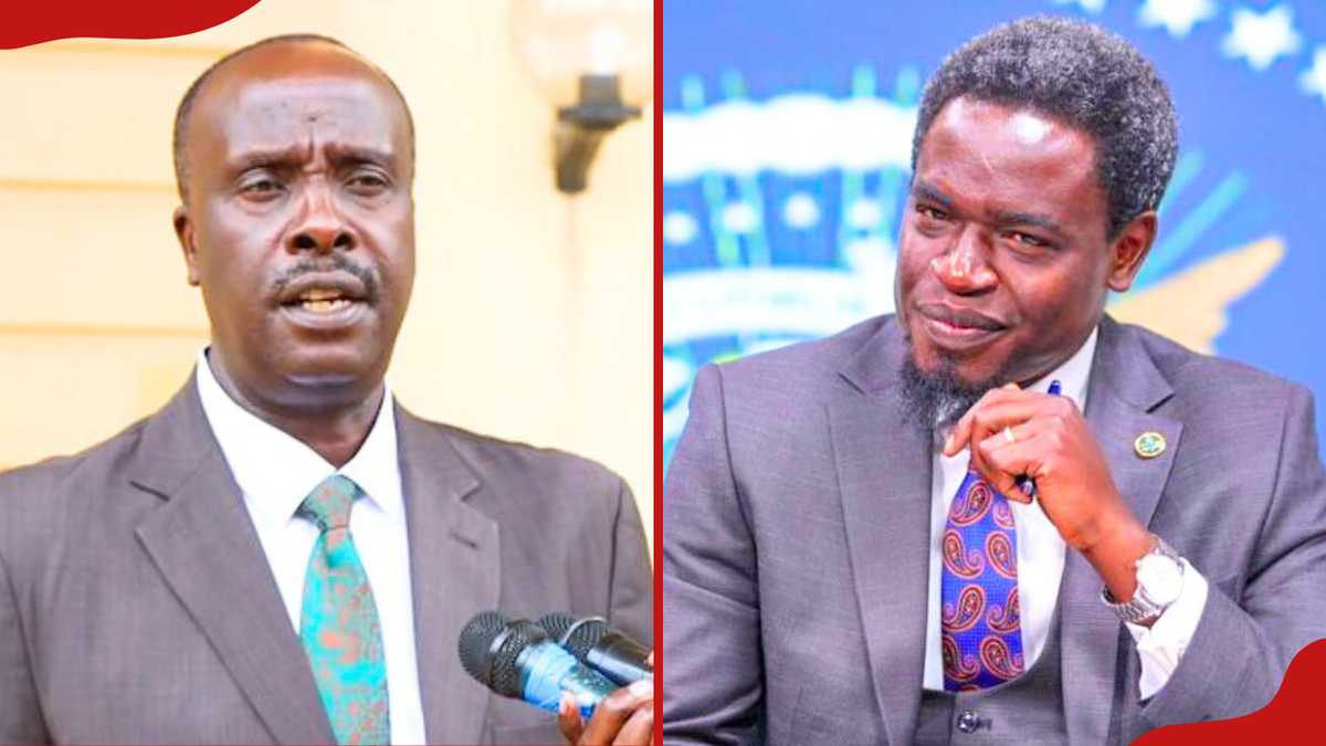 Danstan Omari wins early round as court rejects Havi’s bid to throw out ...