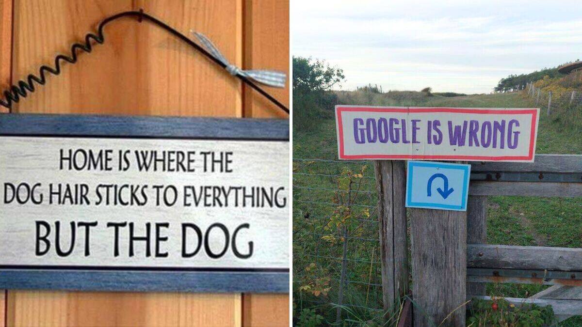 Hilarious signs that showed off their witty sense of humor