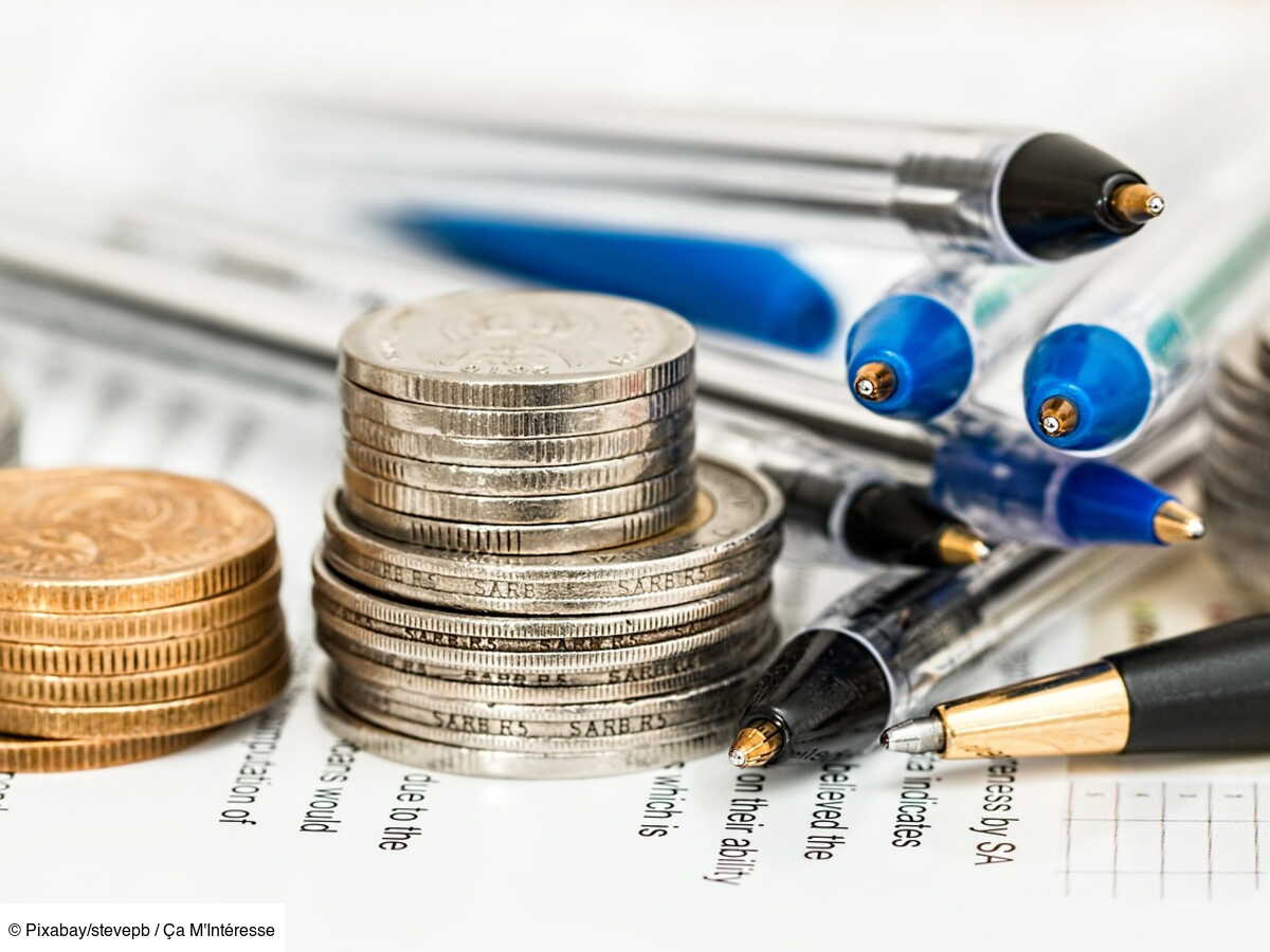 Pingre ou radin : quelles sont les différences entre ces deux termes